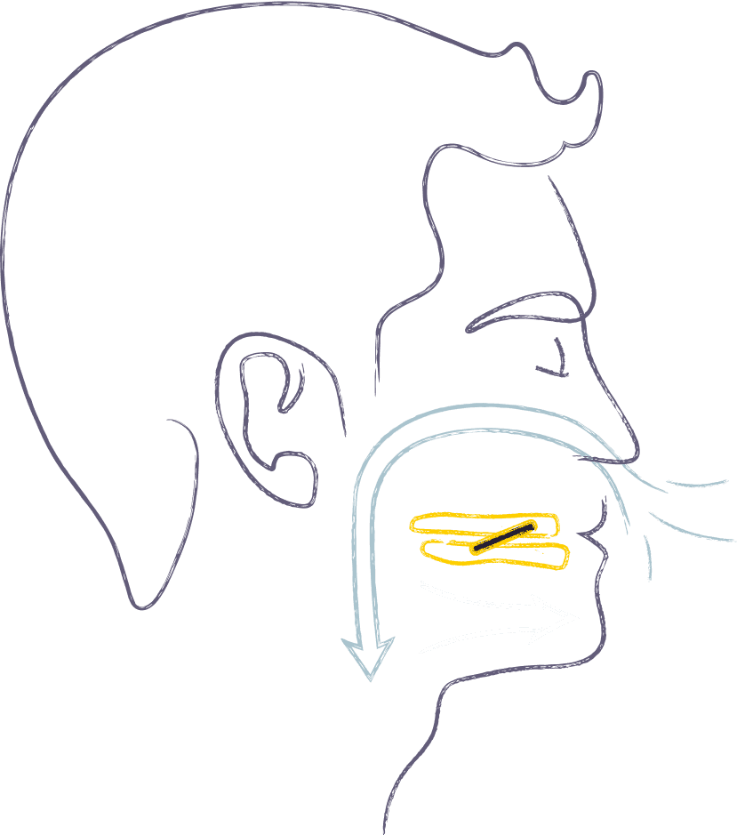 Daybreak Sleep System | Daybreak